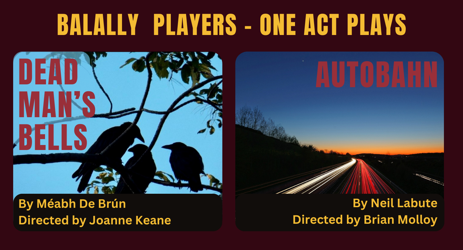 Balally Players One Acts - dlr Mill Theatre Dundrum South Dublin