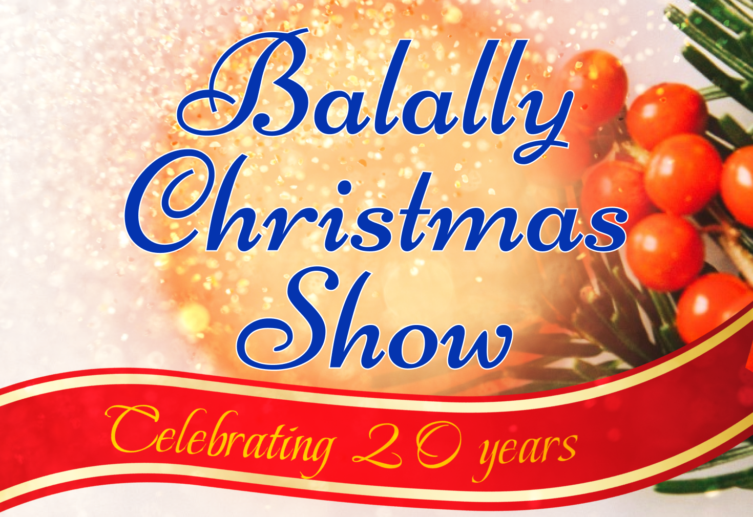 Balally Christmas Show In Dom Marmion House, Dundrum - dlr Mill Theatre ...